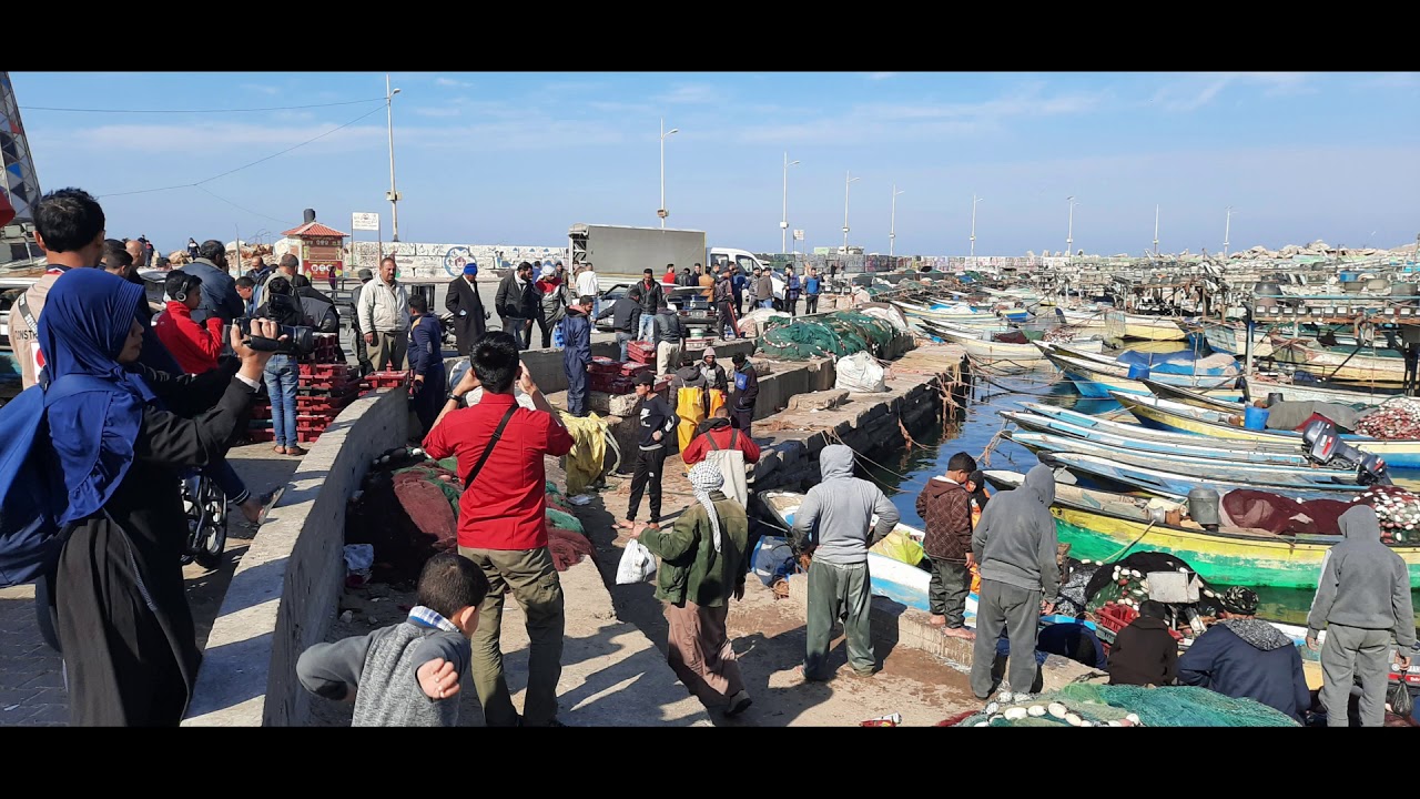 MELIHAT LAUT GAZA PALESTINA - YouTube