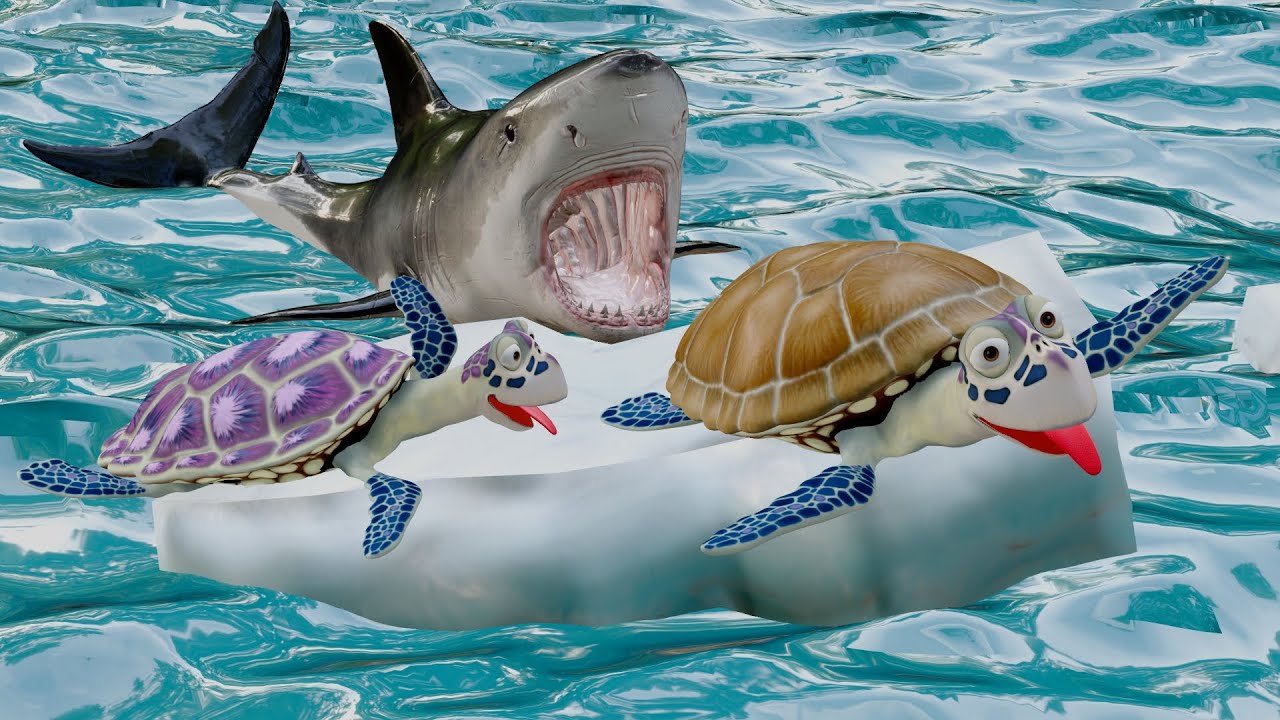 HOPE Turtles and Shark | Animated Short Film "Shorts d'animation" Work ...