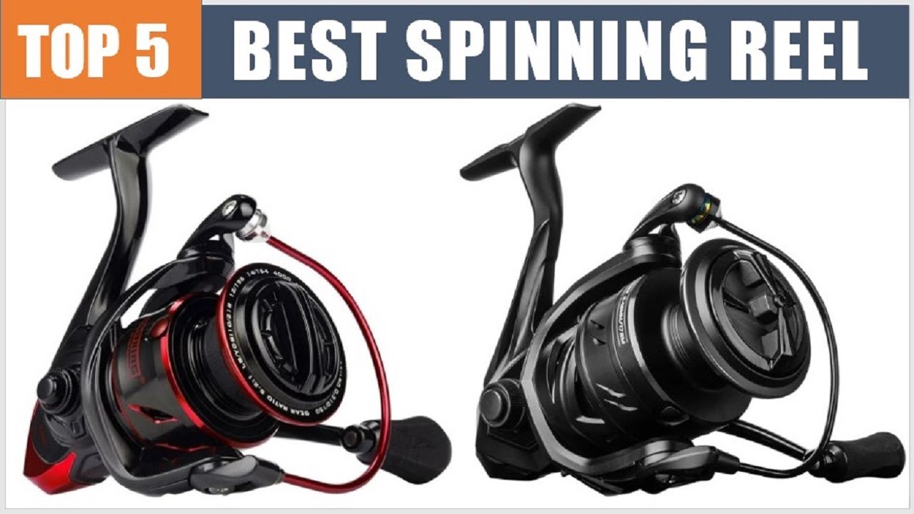 Top 5 Best Spinning Reel 2024; Most Popular Fishing Reel Collection ...