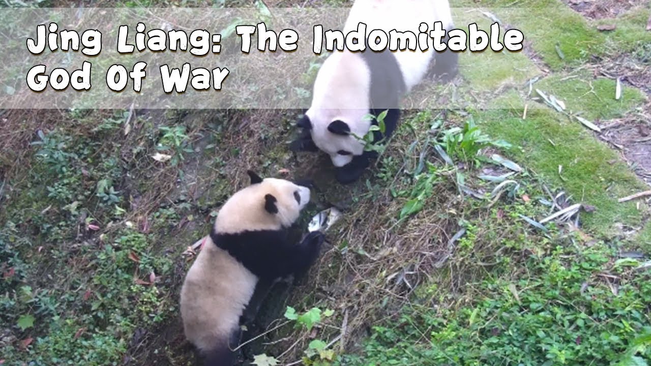 Jing Liang: The Indomitable God Of War | iPanda - YouTube