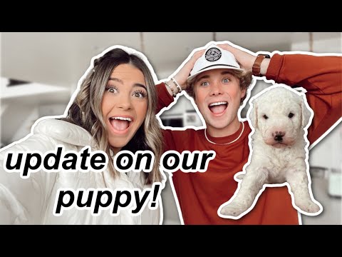 update on our puppy! | Vlogmas day 28| Alyssa & Dallin
