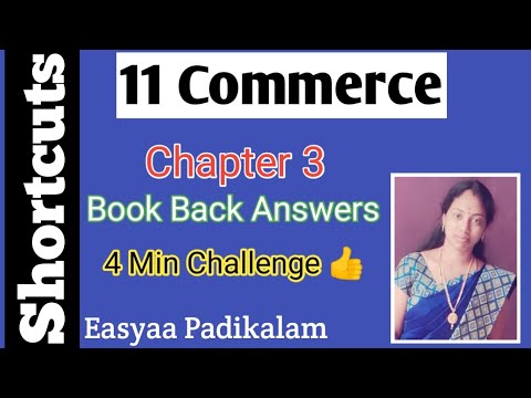 11 Commerce - Chapter 3 - Book Back Answer - YouTube