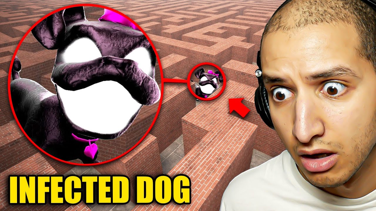 We Found INFECTED DOG in a MAZE... - YouTube
