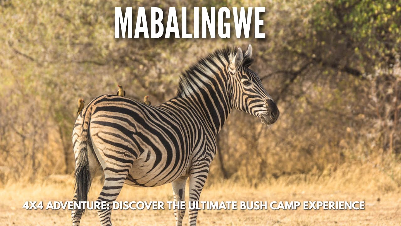 Mabalingwe Nature Reserve 4x4 Bush Camp South Africa Site Review ...