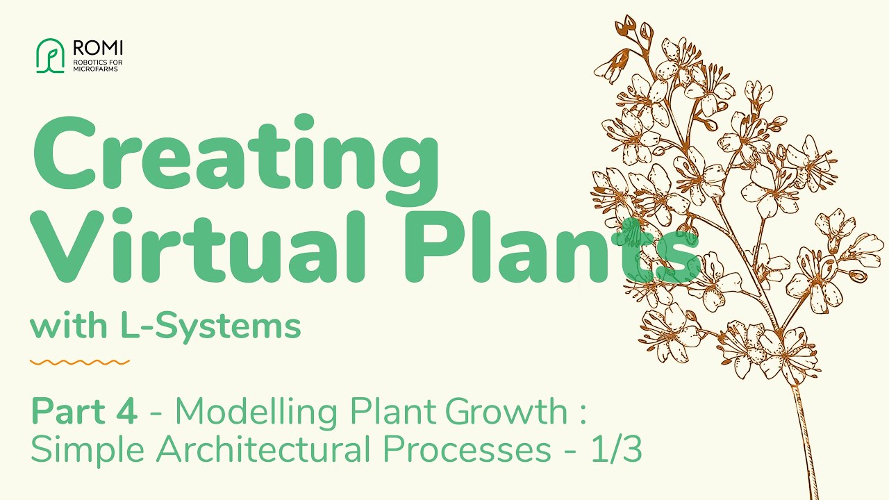 MC 9 Modeling plant architecture with L-systems: different types of ...