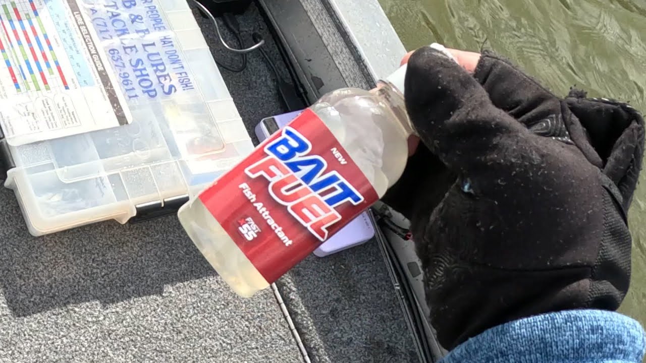 Does BAIT FUEL really work?? - YouTube