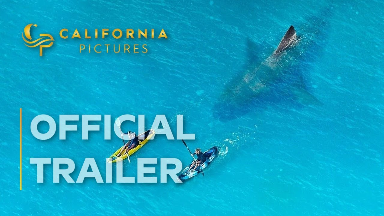 THE REEF STALKED | Official Trailer | California Pictures - YouTube