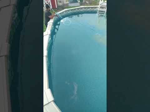 Finally, how to remove the dust, silt mess from bottom of pool - YouTube