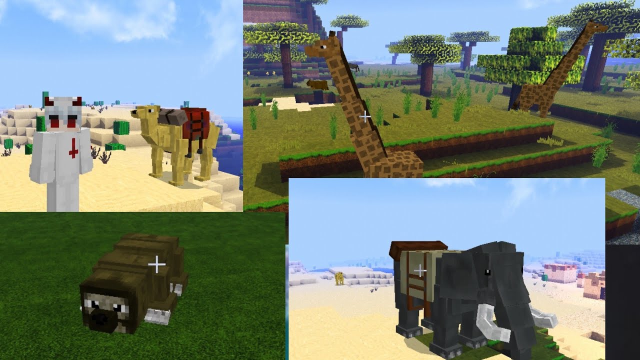 ANIMALES SALVAJES, MINECRAFT PE (YCREATURES) ADDON 1.14 Y 1.16 - YouTube