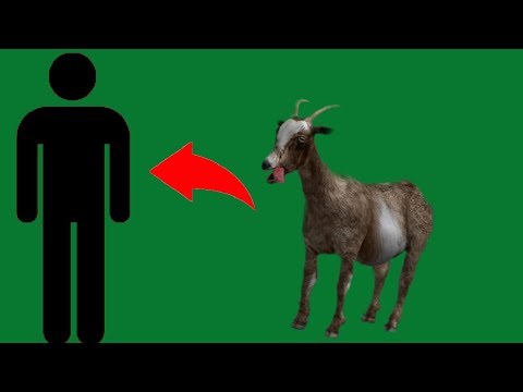 Goat Simulator: Payday (Helicopterkin Location)