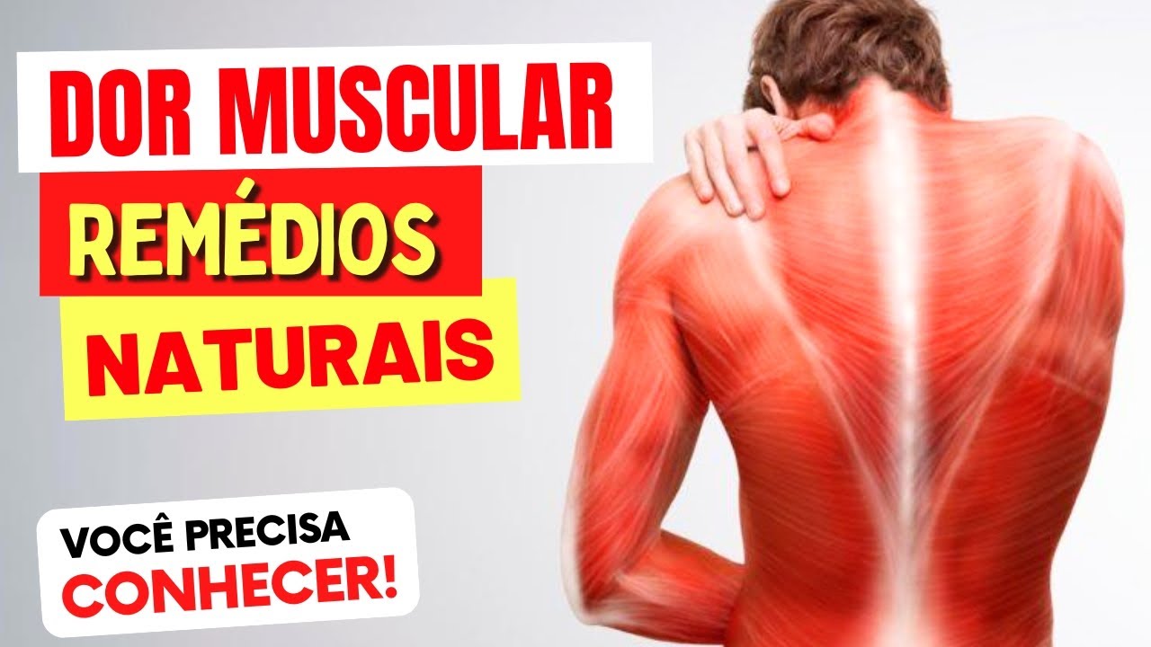 7 REMÉDIOS NATURAIS para DOR MUSCULAR (Opções CASEIRAS!) - Como Usar e ...