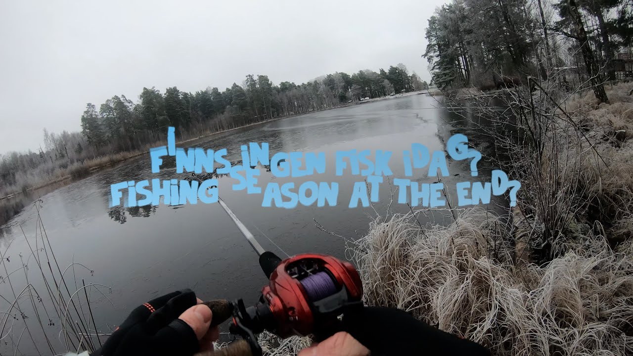 Finns ingen fisk idag? Fishing season at the end? - YouTube