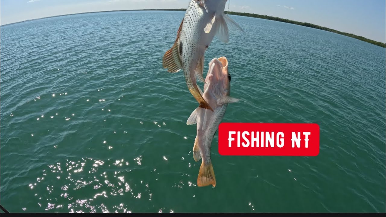 Long weekend fishing /fishing bait/fishing trip - YouTube