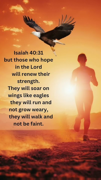 Isaiah 40:31but those who hope in the Lord will renew their strength. # ...