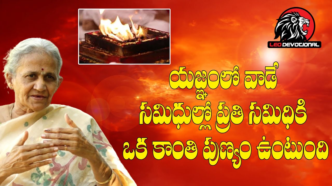 SOMALATHA Plant | సోమలత వలన భూమికి ఆయువు పెరుగుతుంది | Somalatha In ...