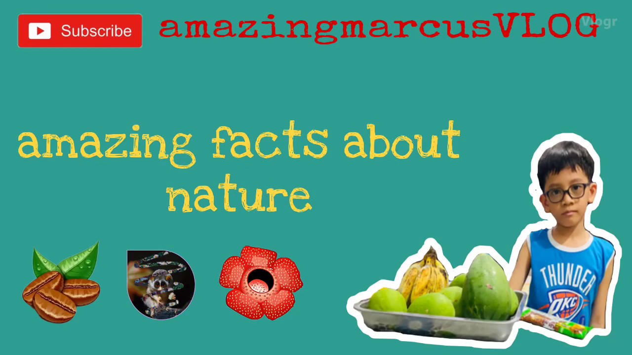 amazing facts about nature - YouTube