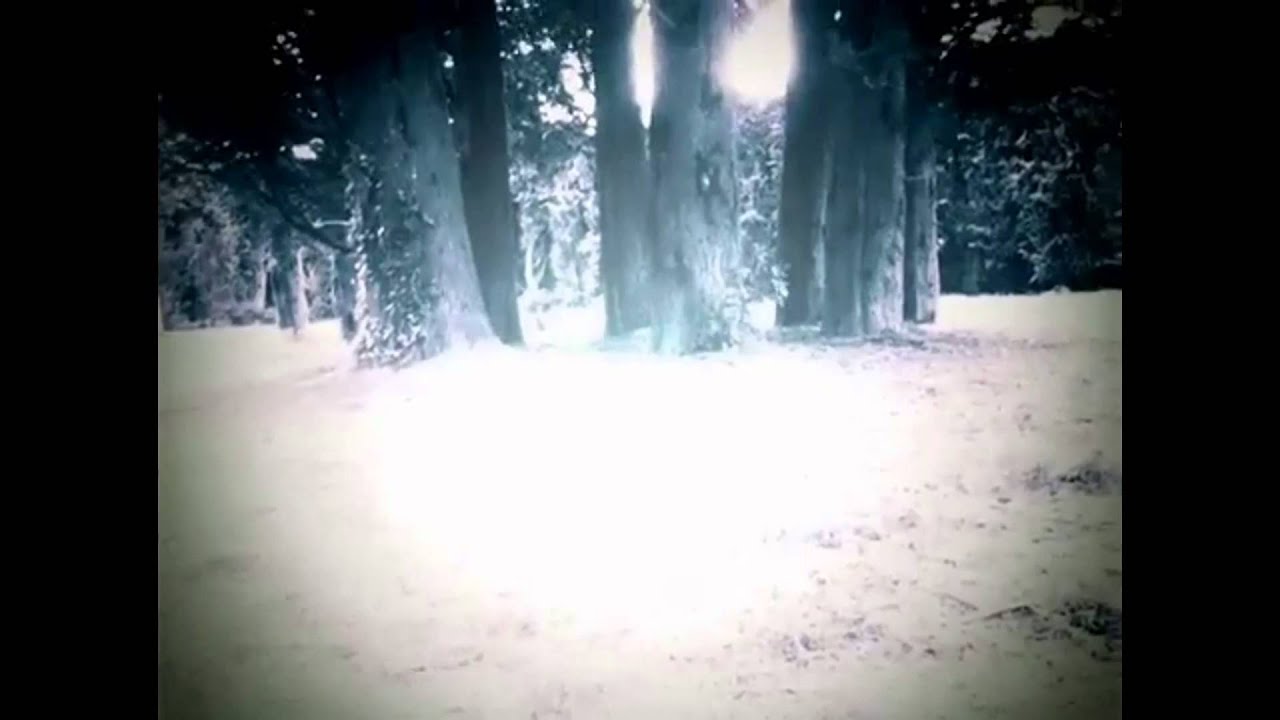 Slender-Official trailer - YouTube