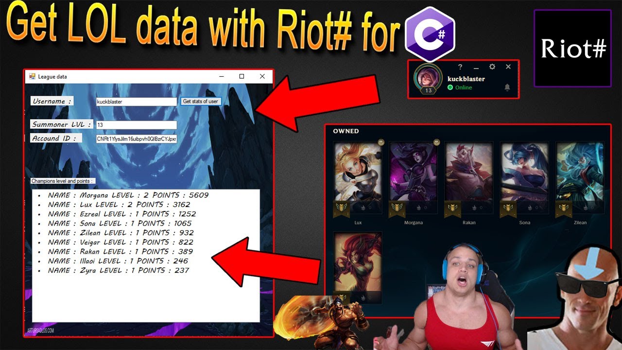 How To Use LOL Database with RiotSharp.dll ! - YouTube