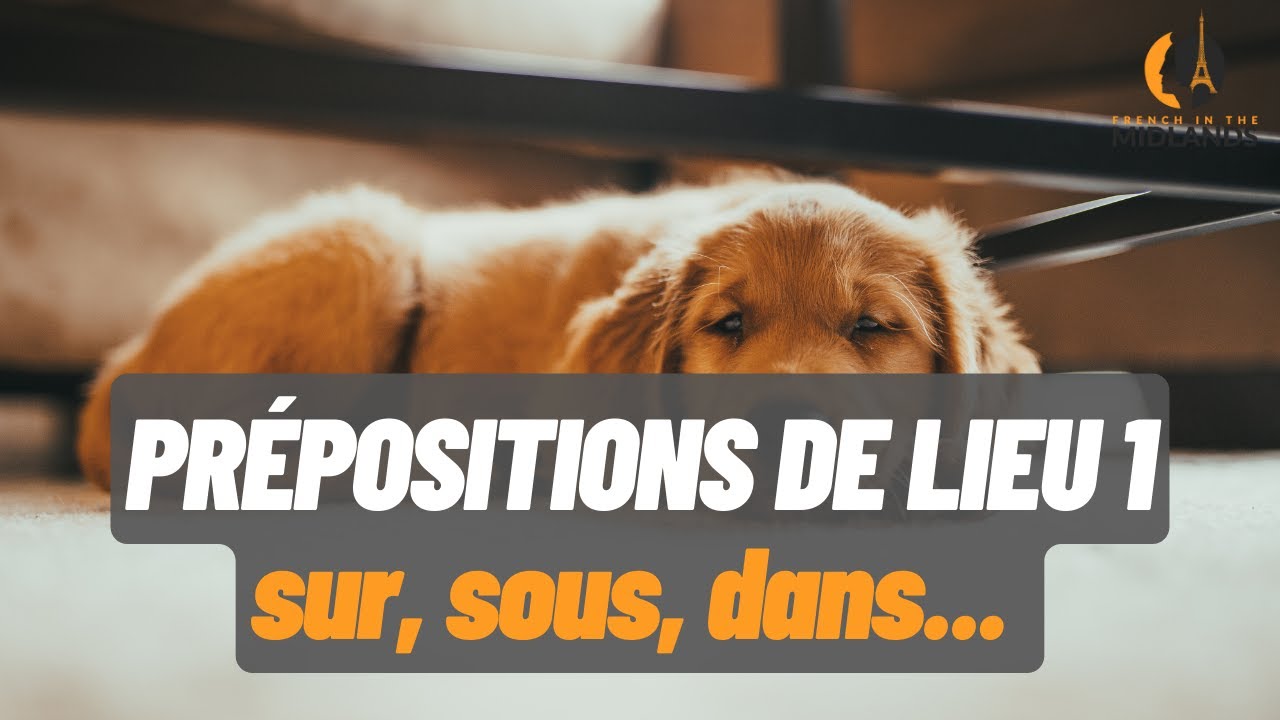 French Prepositions of Place 1 - sur, sous, dans... - YouTube