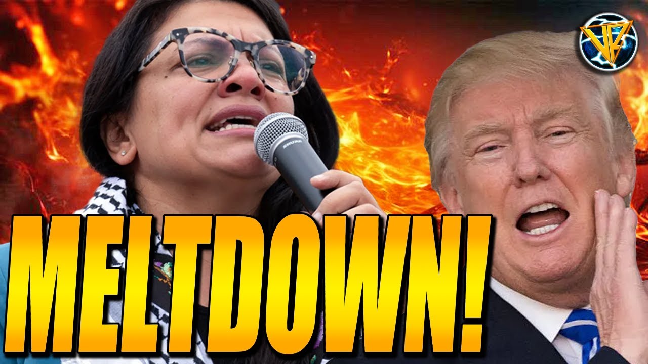 Rashia Tlaib Had a Meltdown Over Enforcing Immigration | Congressional ...