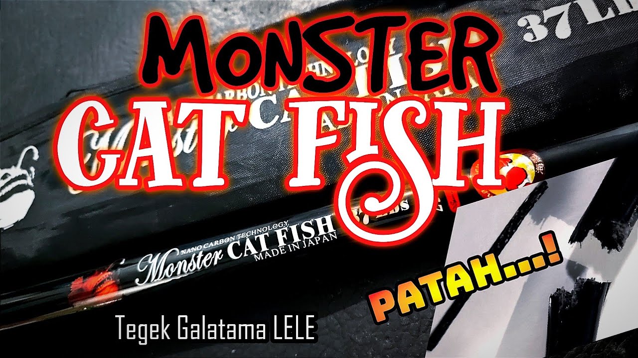Joran Tegek patah 37Lbs • Review Monster Cat Fish 2503 • Tegek Galatama ...