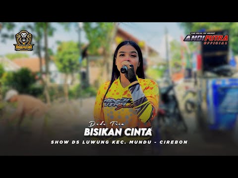 BISIKAN CINTA - DEDE TRIA || ANDI PUTRA 3