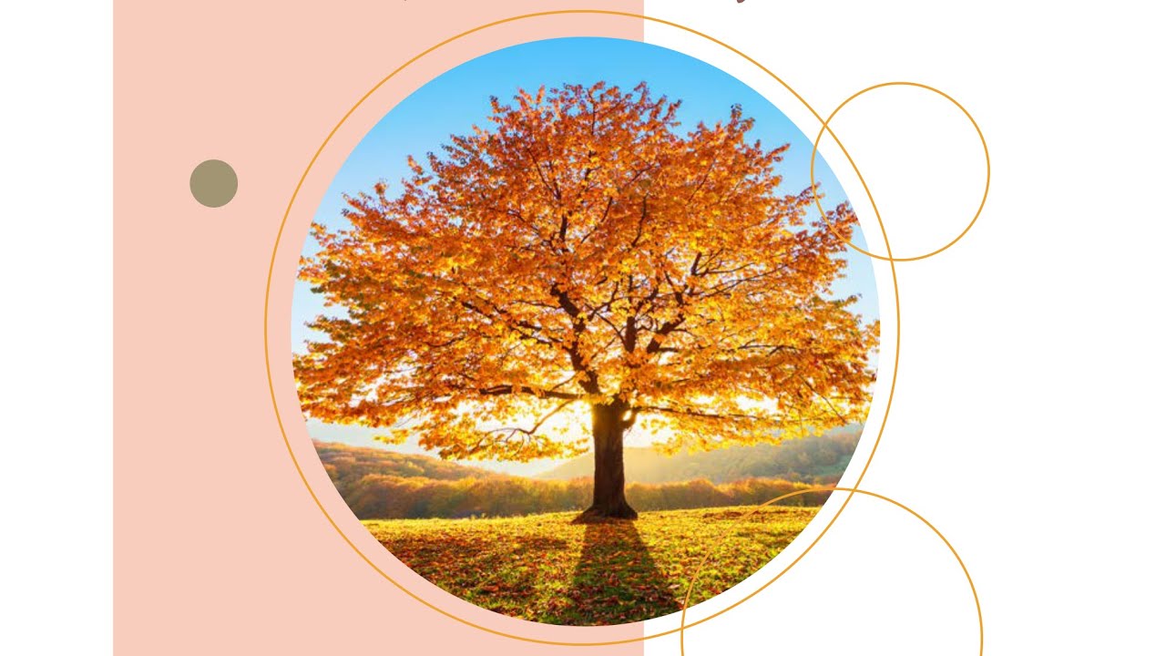 Fall Laity Day - October 14, 2023 - YouTube