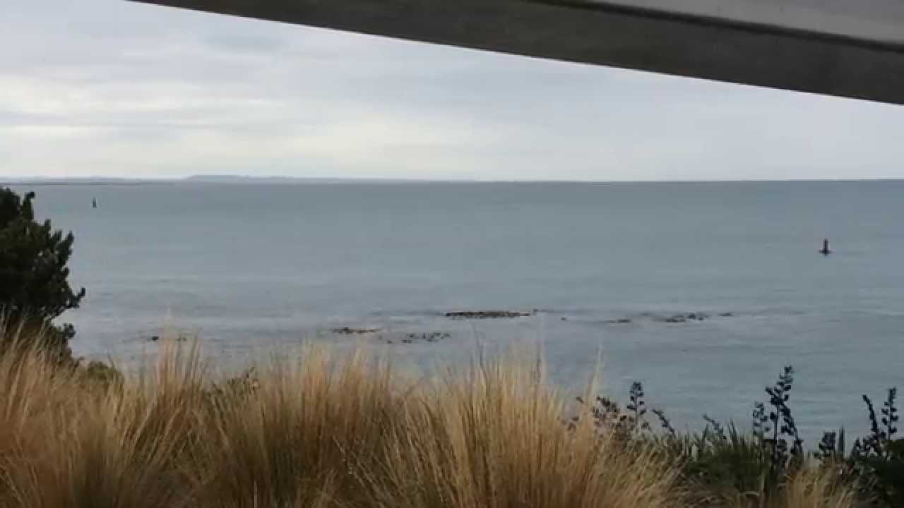 Port town of Bluff South Island New Zealand - YouTube