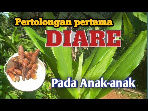 Obat sakit perut anak |cara membuat obat | cara mengobati sakit perut ...