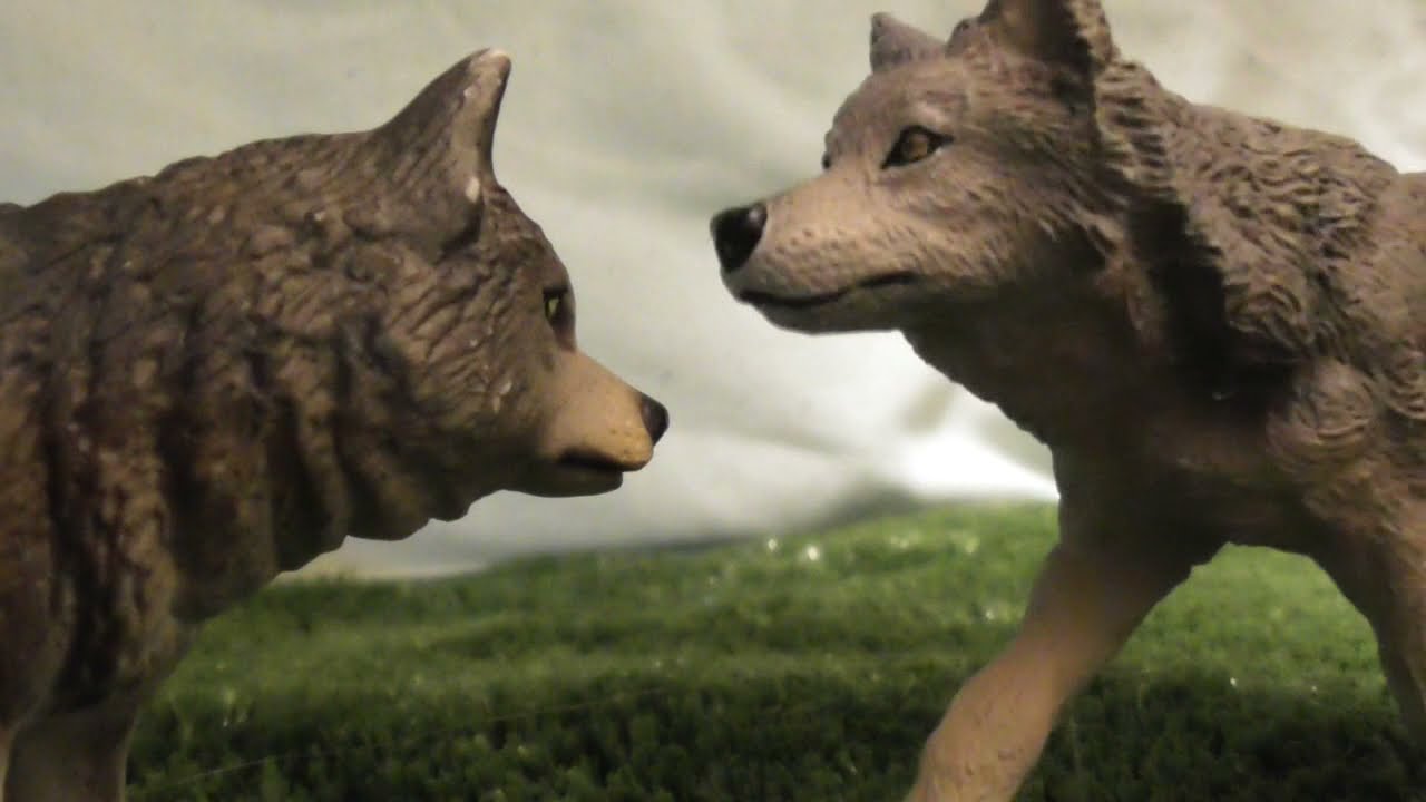 Cousins of the Wild - Episode Two (A Schleich Wolf Movie) - YouTube