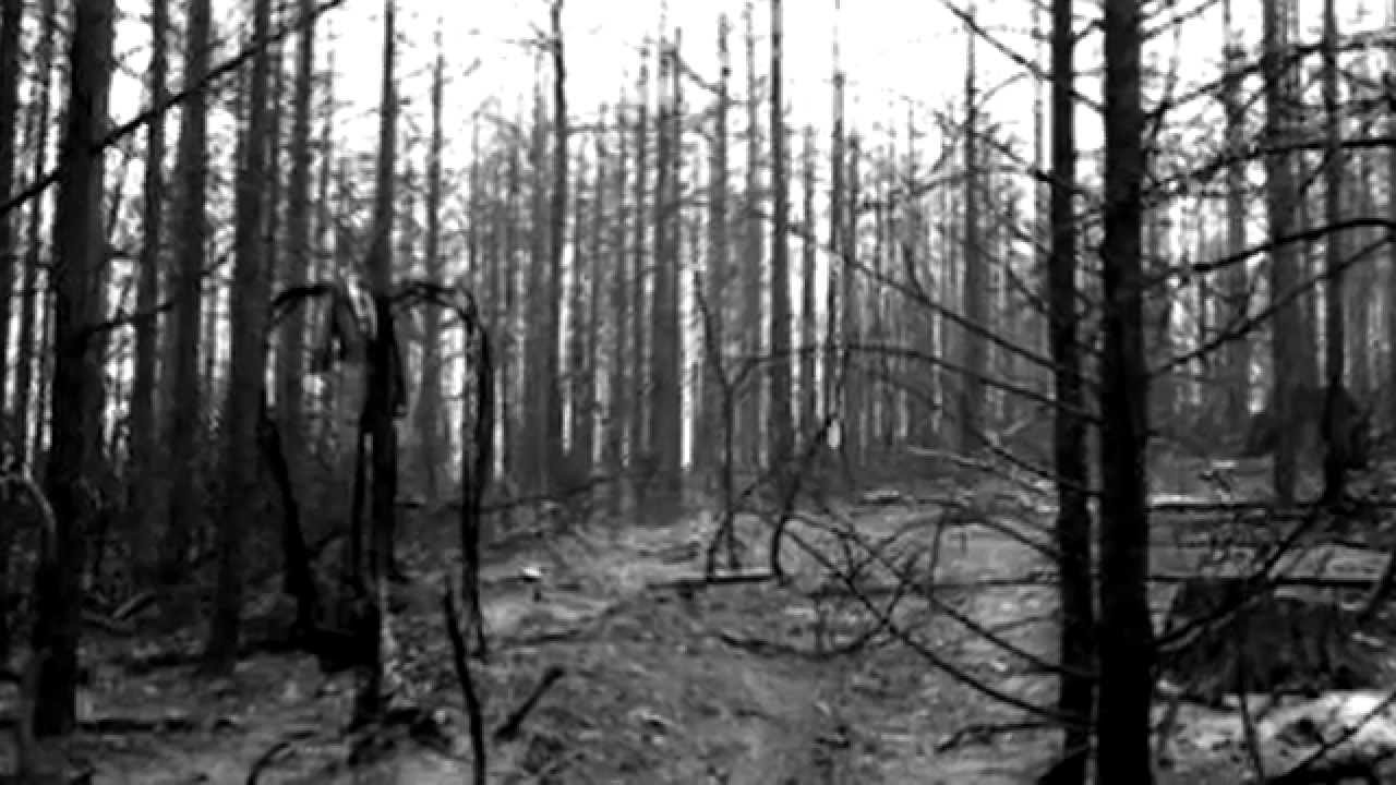 Slender Man Real Pictures - YouTube