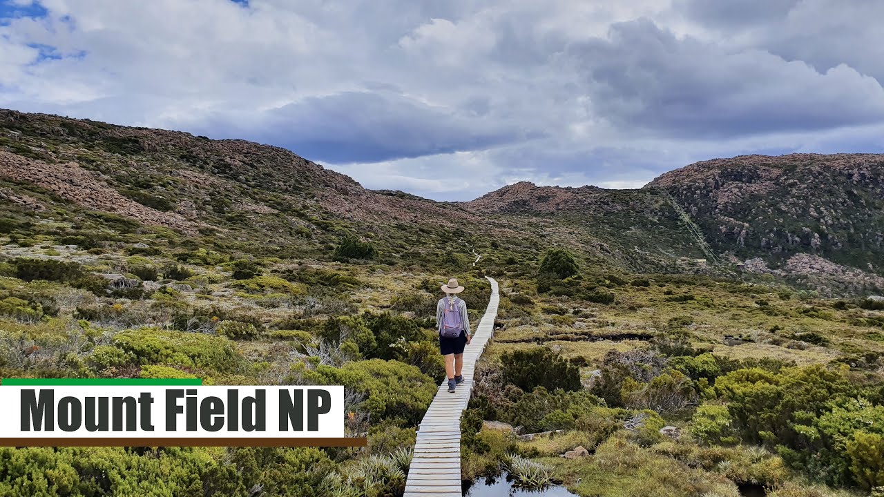 Mount Field National Park / Tasmania - YouTube