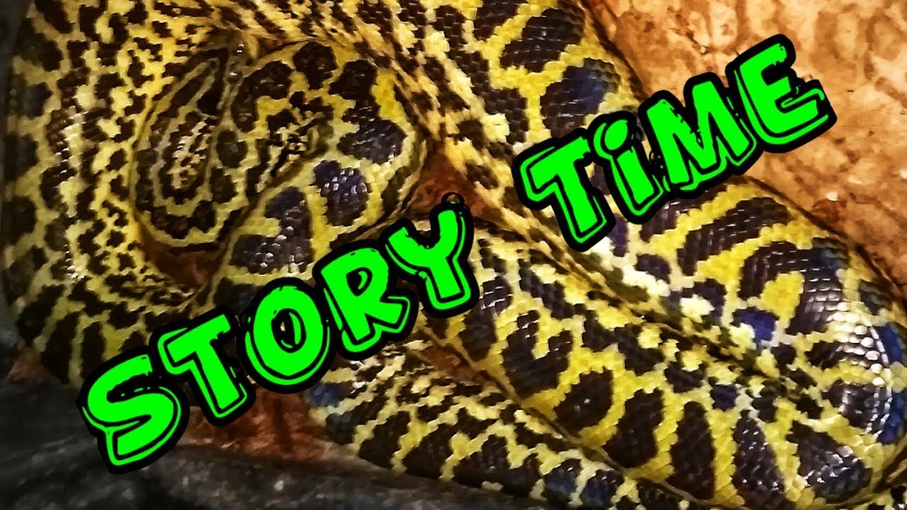 MY WORST SNAKE BITE ( Story Time). - YouTube