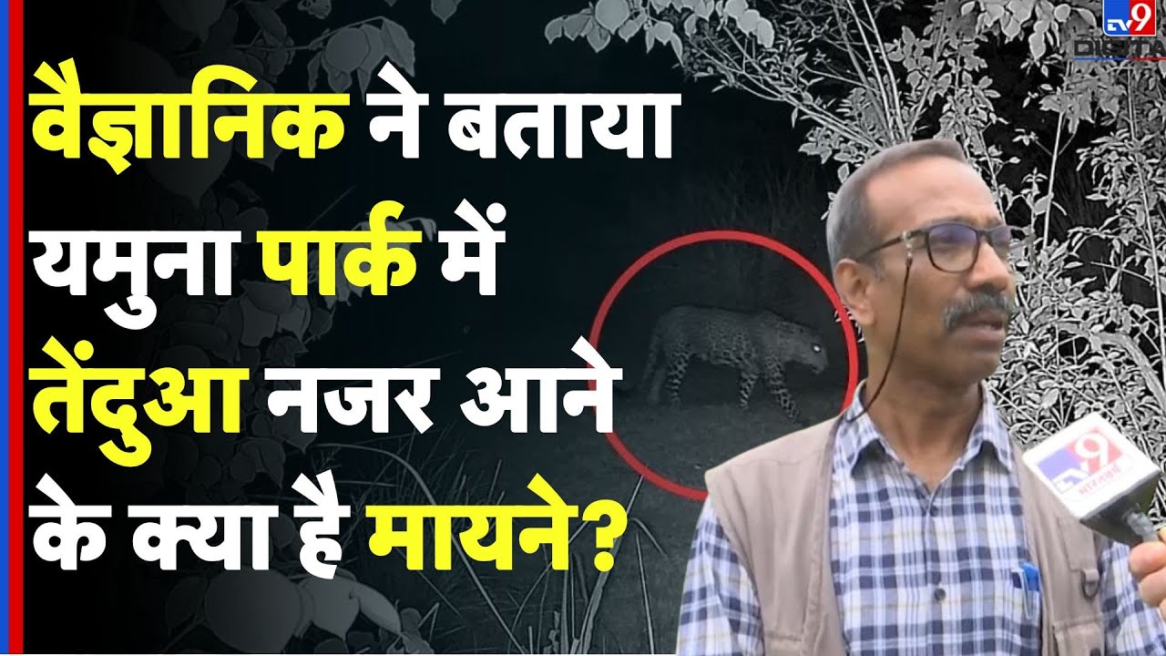 Leopard In Delhi: Biodiversity Expert ने बताया Yamuna Park में तेंदुआ ...