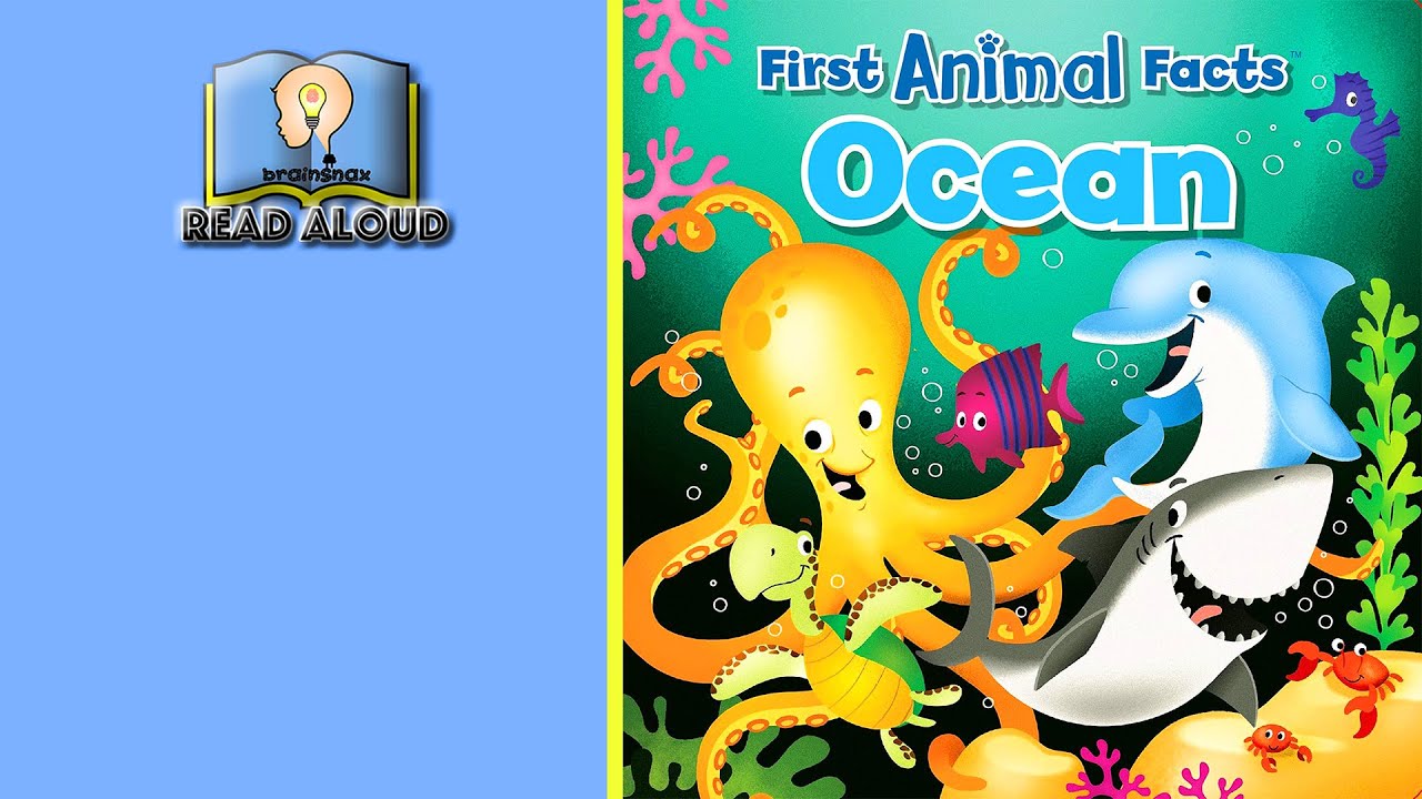 First Animal Facts: Ocean | Read Aloud for Kids | Learn Sea Animals ...