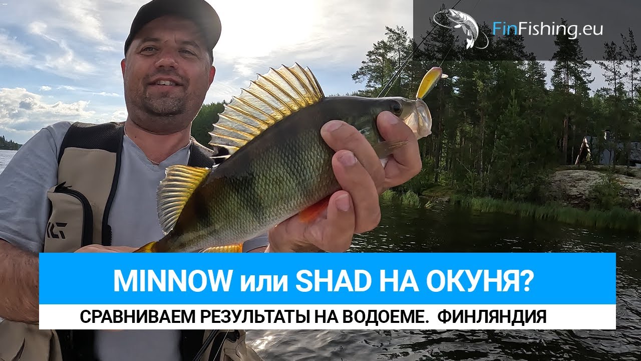 Ловим на разные типы воблеров: Shad и Minnow. Pontoon21 vs Kosadaka ...
