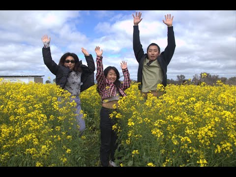 Canola Field Visit at PetTeet Park, York, Perth WA on Fathers Day Sep ...