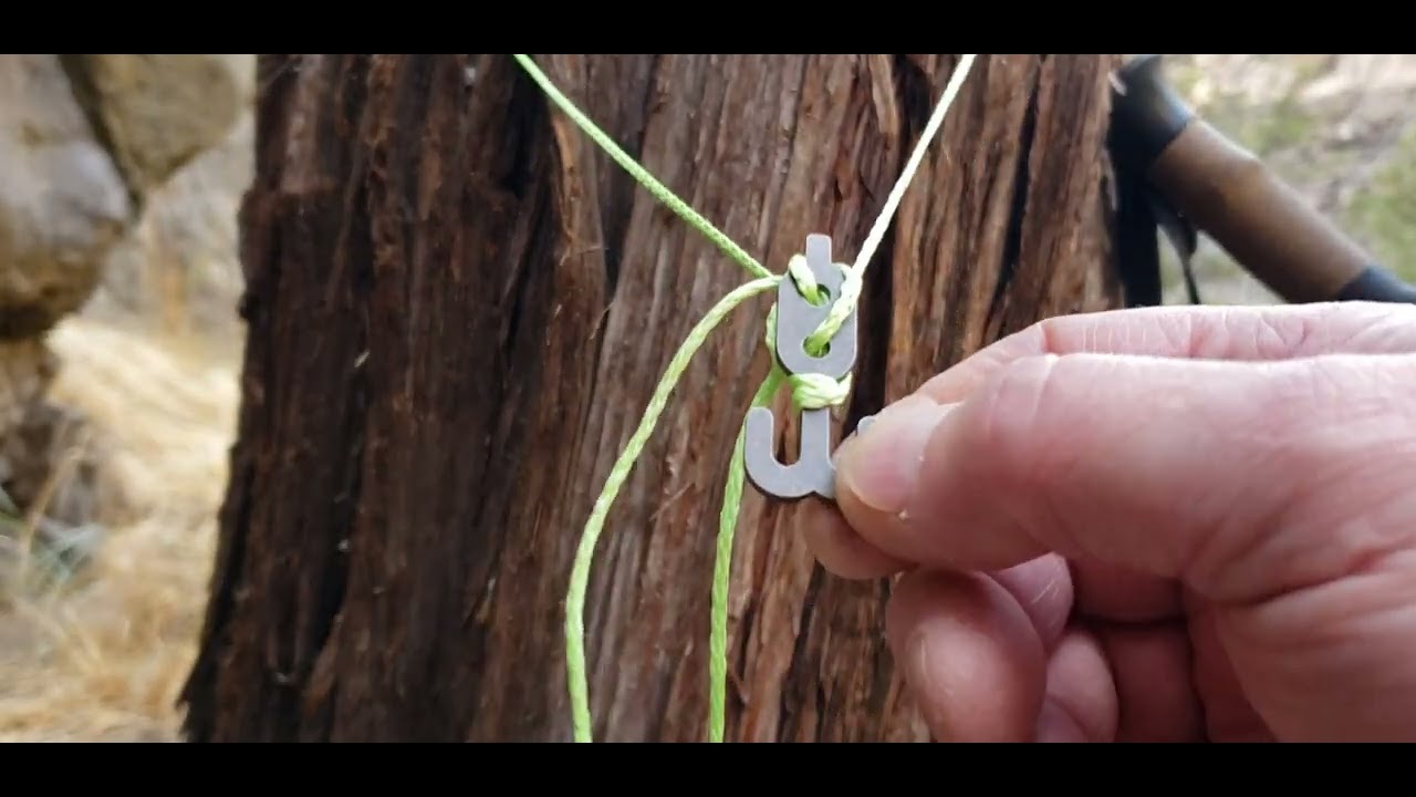 Ti double hook around the tree only...panic mode. (do it however you ...