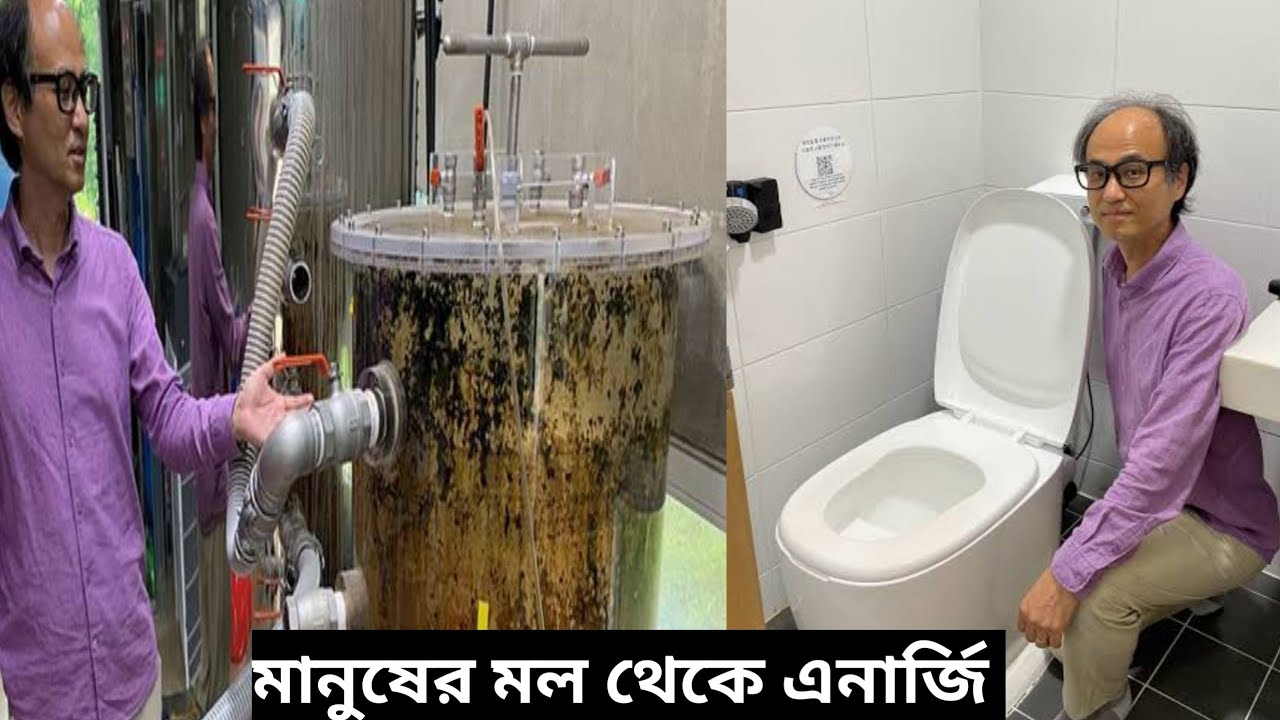 Poop Turns Into Power and Currency With South Korean University Toilet ...