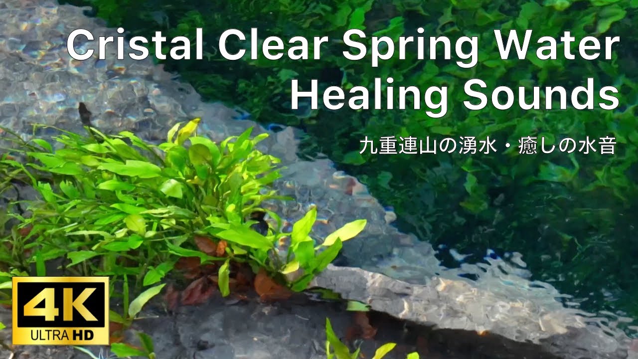 Healing Spring Water Sounds in Ohita Japan | ASMR White Noise | Nature ...