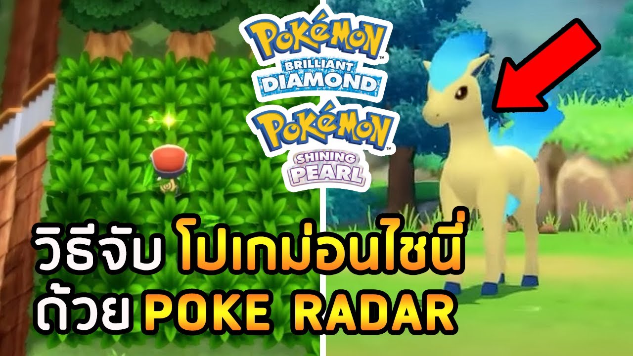 วิธีจับโปเกม่อนไชนี่ (SHINY) ด้วย POKE RADAR ใน Pokemon Brilliant ...