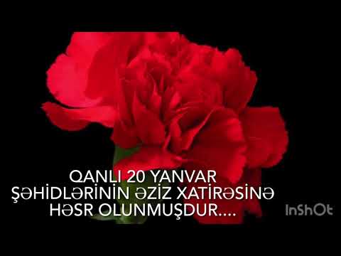 250 nömrəli məktəbin 2ç sinif şagirdləri 20 Yanvar şəhidlərini hörmətlə anır.. Allah rəhmət eləsin