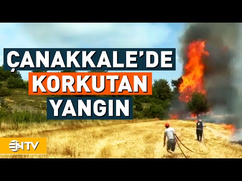 Çanakkale'de Orman Yangını! İtfaiye Alevlere Müdahale Ediyor | NTV