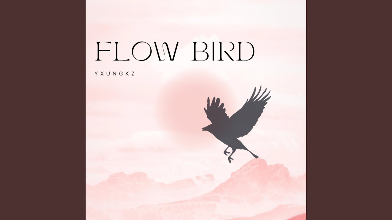 FLOW BIRD - YouTube