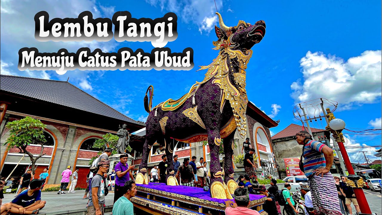 Proses membawa LEMBU TANGI menuju Catus Pata Ubud 5 Juni 2024 - YouTube