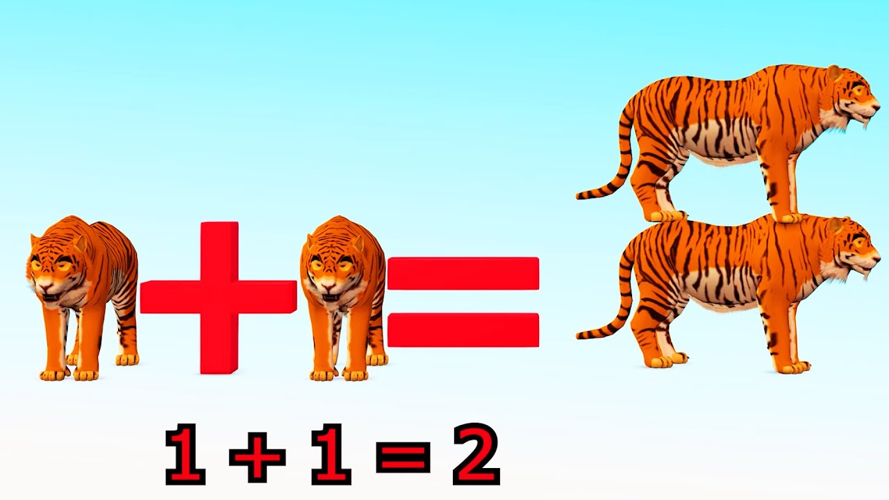 Tiger Animal, animals and math for kids | Learn with Fun For Children ...