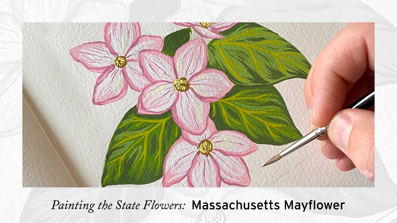 Mayflower Simple Drawing