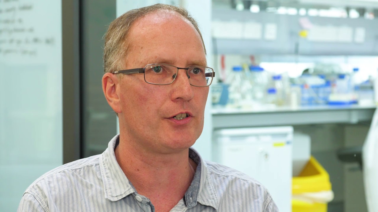 Research led teaching in Natural Sciences - YouTube