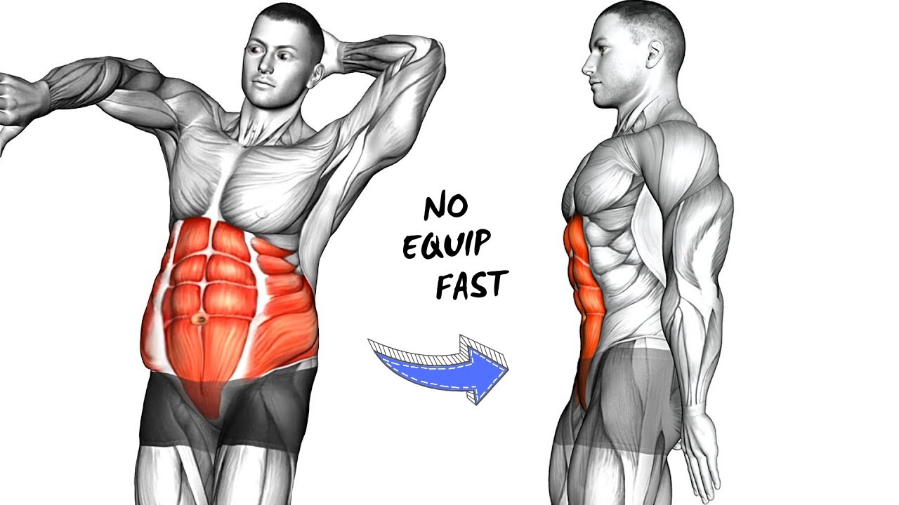 Basic Daily Exercises For Beginners at Home, No EQUIP Needed - YouTube