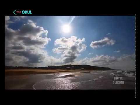 DALGA NASIL OLUŞUR ?